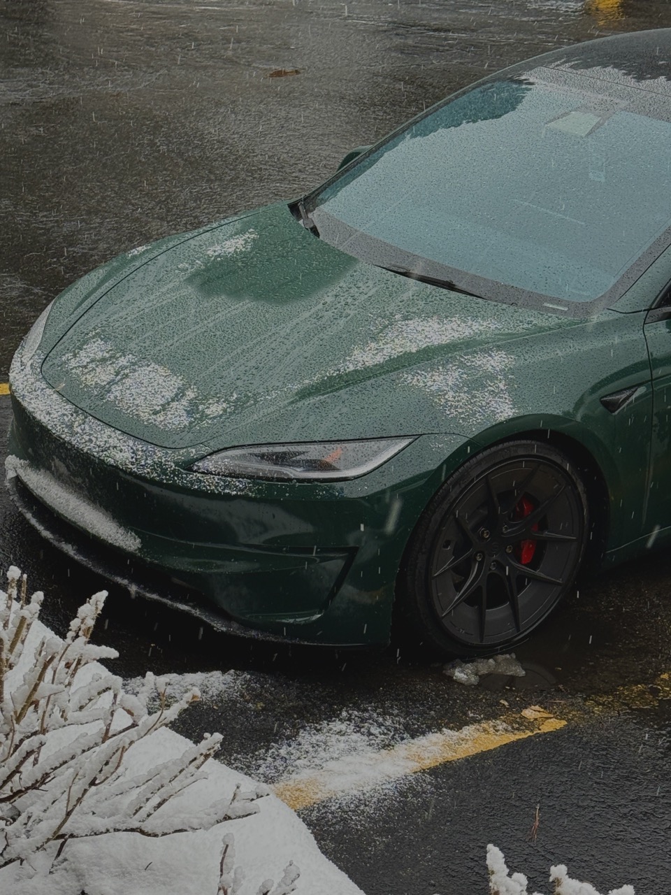 Le style intemporel : Le Tesla Model 3 Performance en British Racing Green