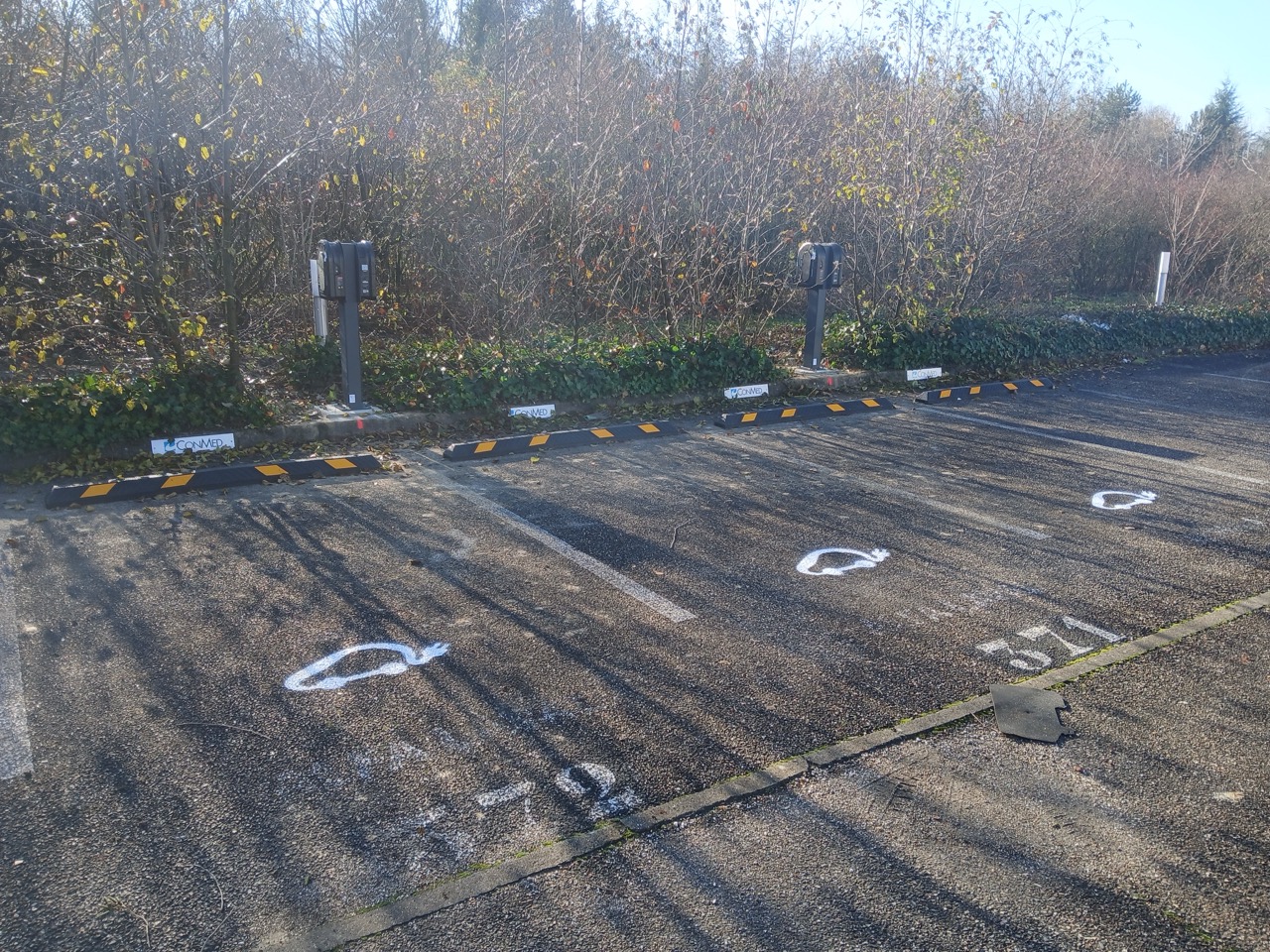 Borne de recharge en Auvergne-Rhône-Alpes : pourquoi confier votre ...